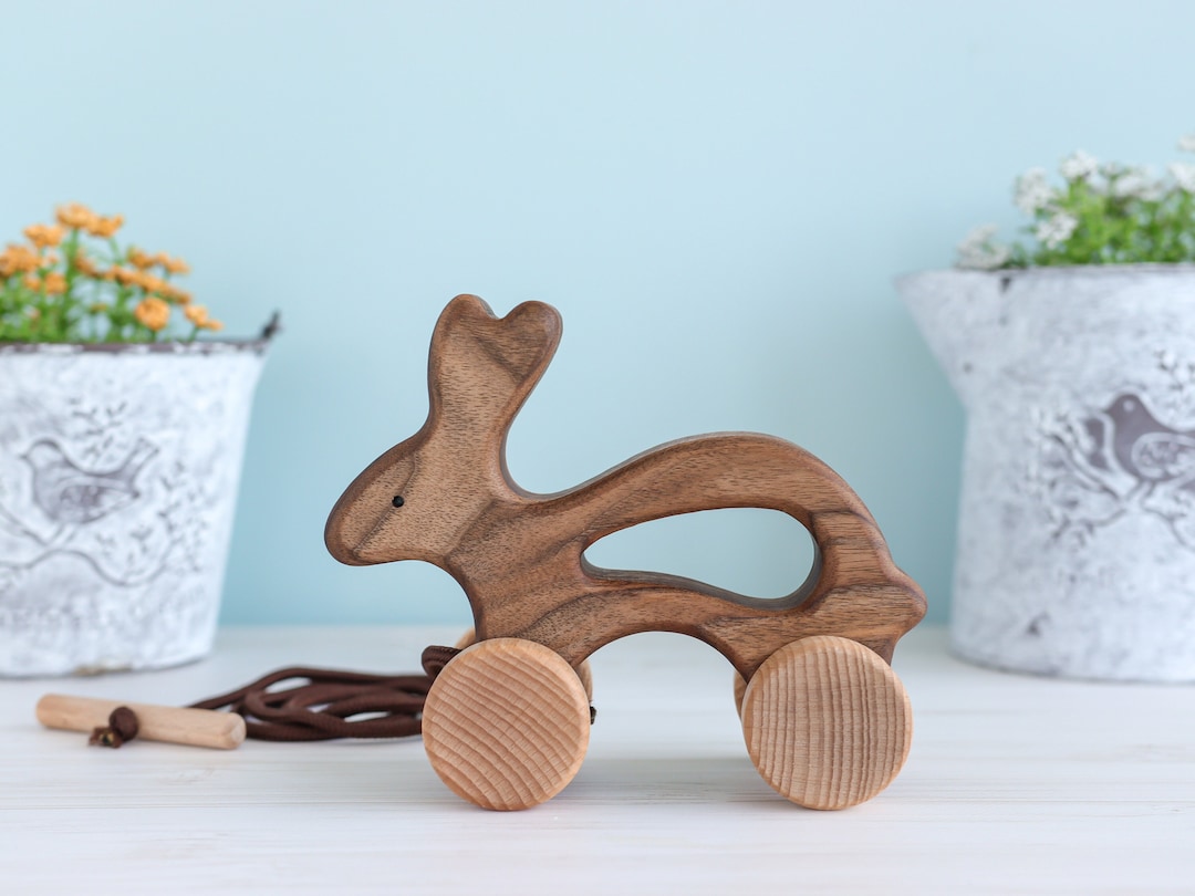 Wooden Bunny Pull & Push Toy: Educational Toddler Toy, Montessori ...