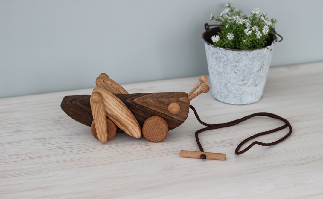 Wooden Pull & Push Toy for 2 3 Year Old, Baby Boy Girl Gift, Animals on ...