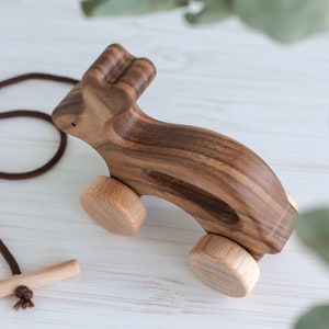 Wooden Bunny Pull & Push Toy: Educational Toddler Toy, Montessori ...