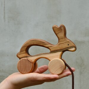 Wooden Bunny Pull & Push Toy: Educational Toddler Toy, Montessori ...