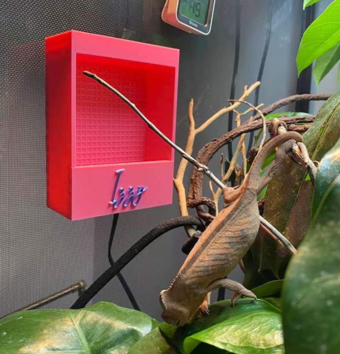 MAGNETIC Reptile Insect Feeder Box (customizable) - Etsy