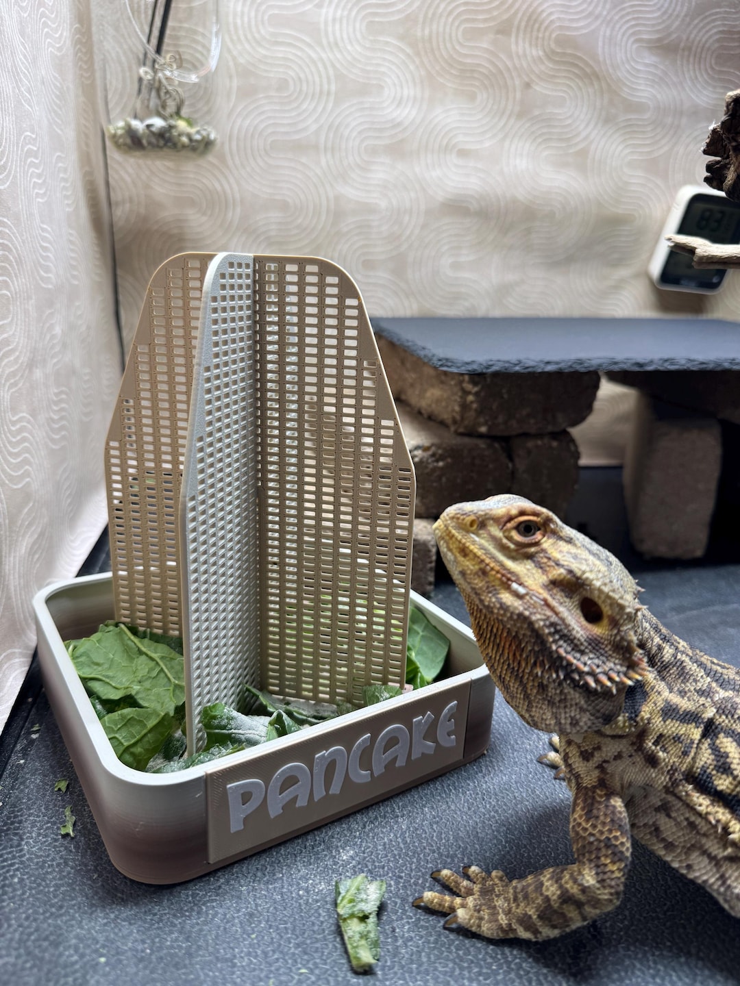 Bug Fountain for Reptiles (customizable) - Etsy