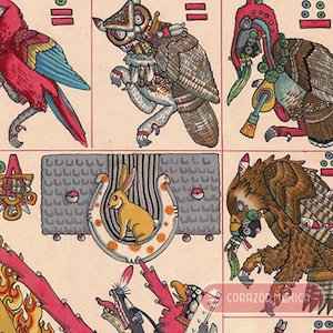 Nahualtototl Amoxtli, Spirit Animal, Naghual, Nagual Bird, Aztec ...