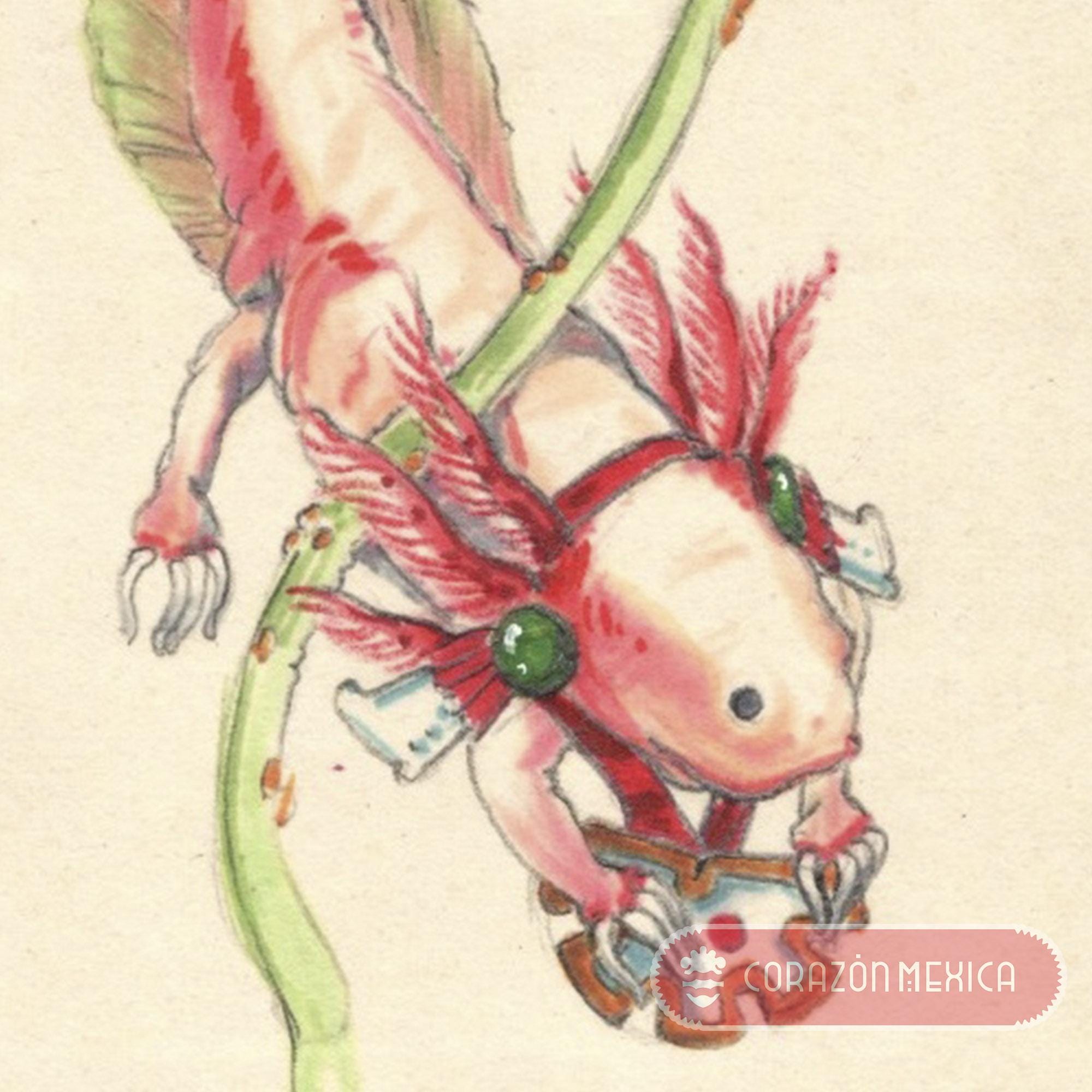In Axolotl, the Axolotl. Aztec, Mexican Spirituality, Art, Corazon ...