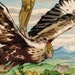 Le Nahual - Mexica (aztec) Spirit Animal, Native American Spiritual ...