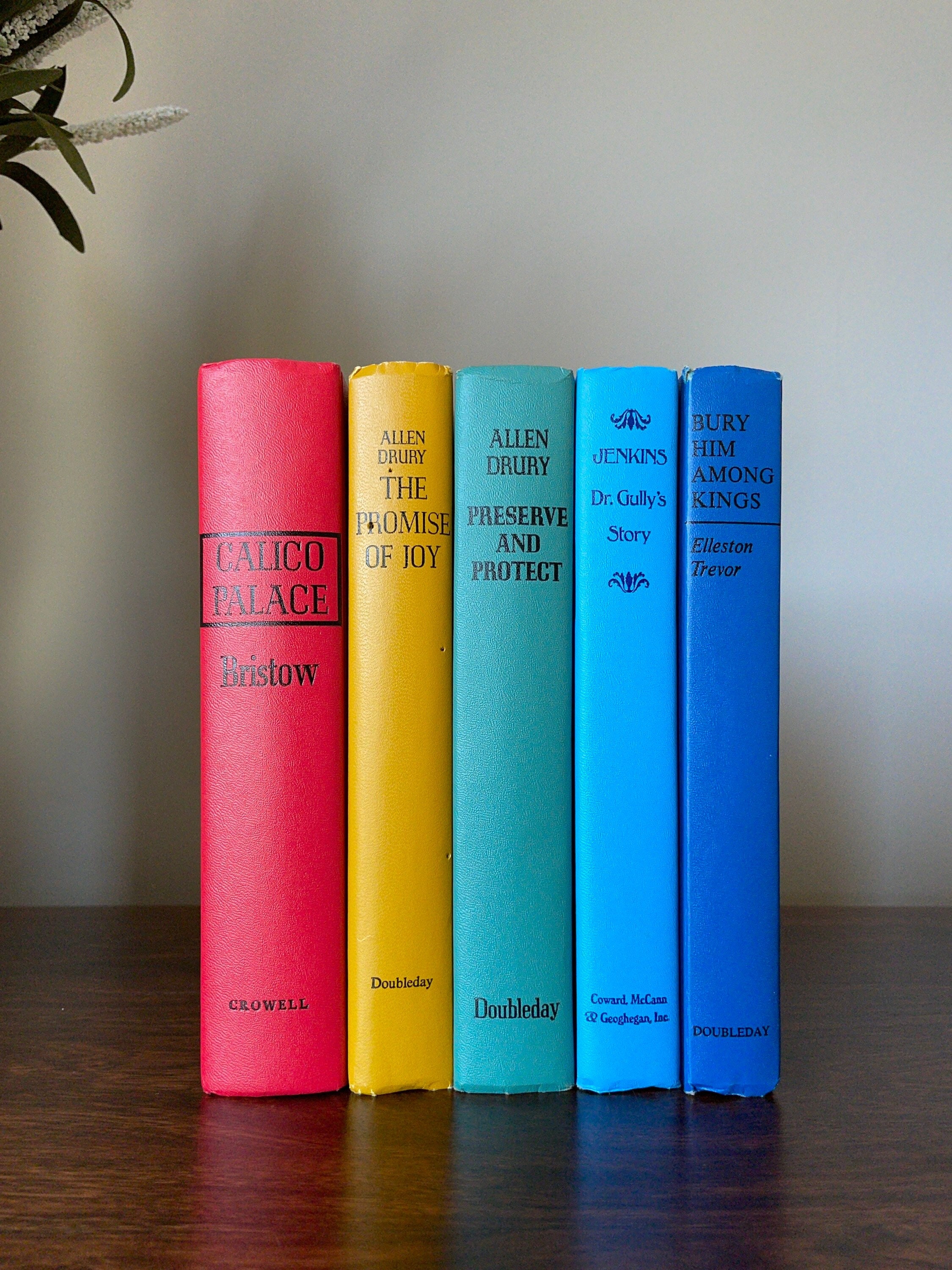 VINTAGE Rainbow Book Bundle AS PICTURED - Etsy