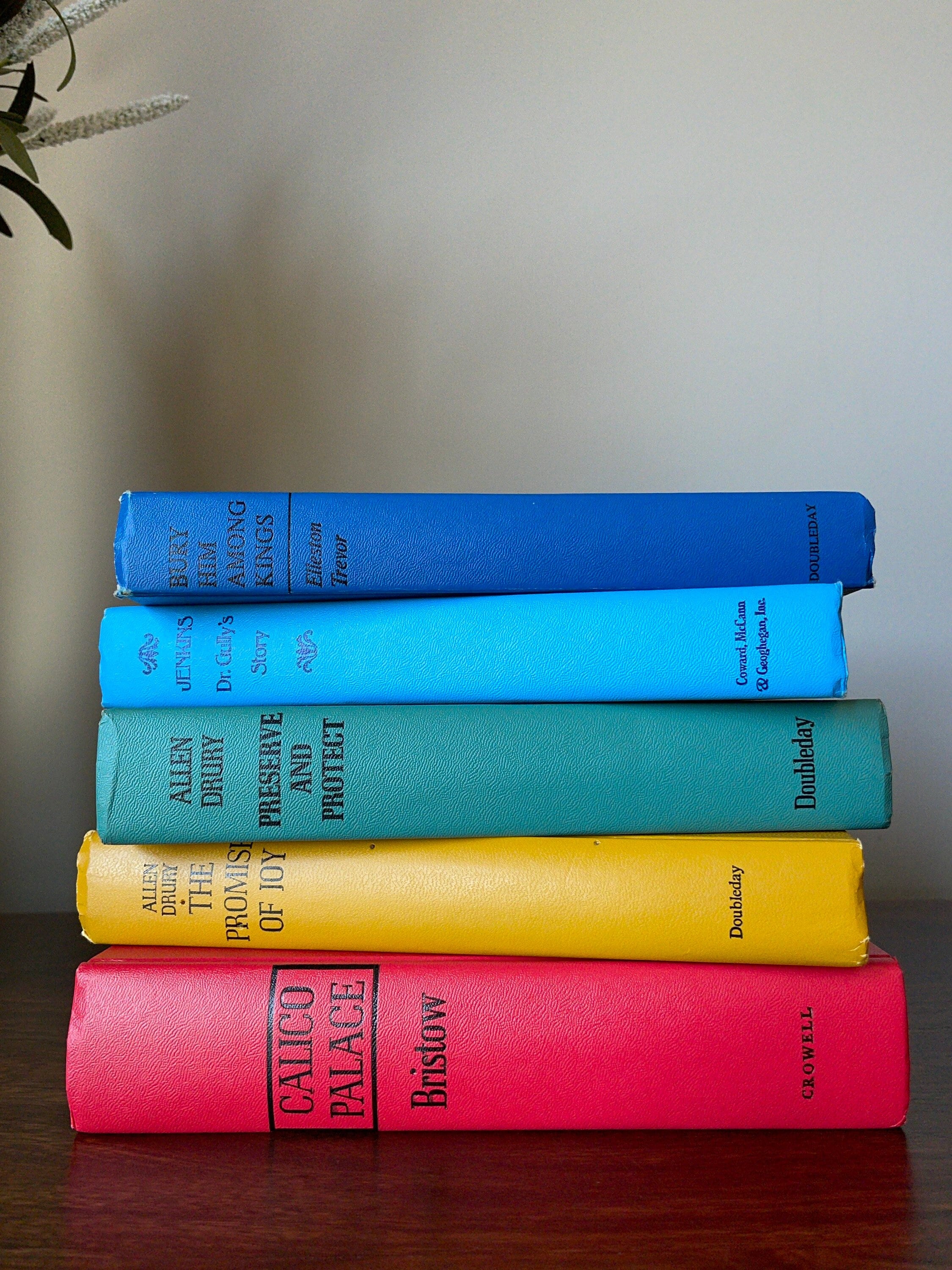 VINTAGE Rainbow Book Bundle AS PICTURED - Etsy