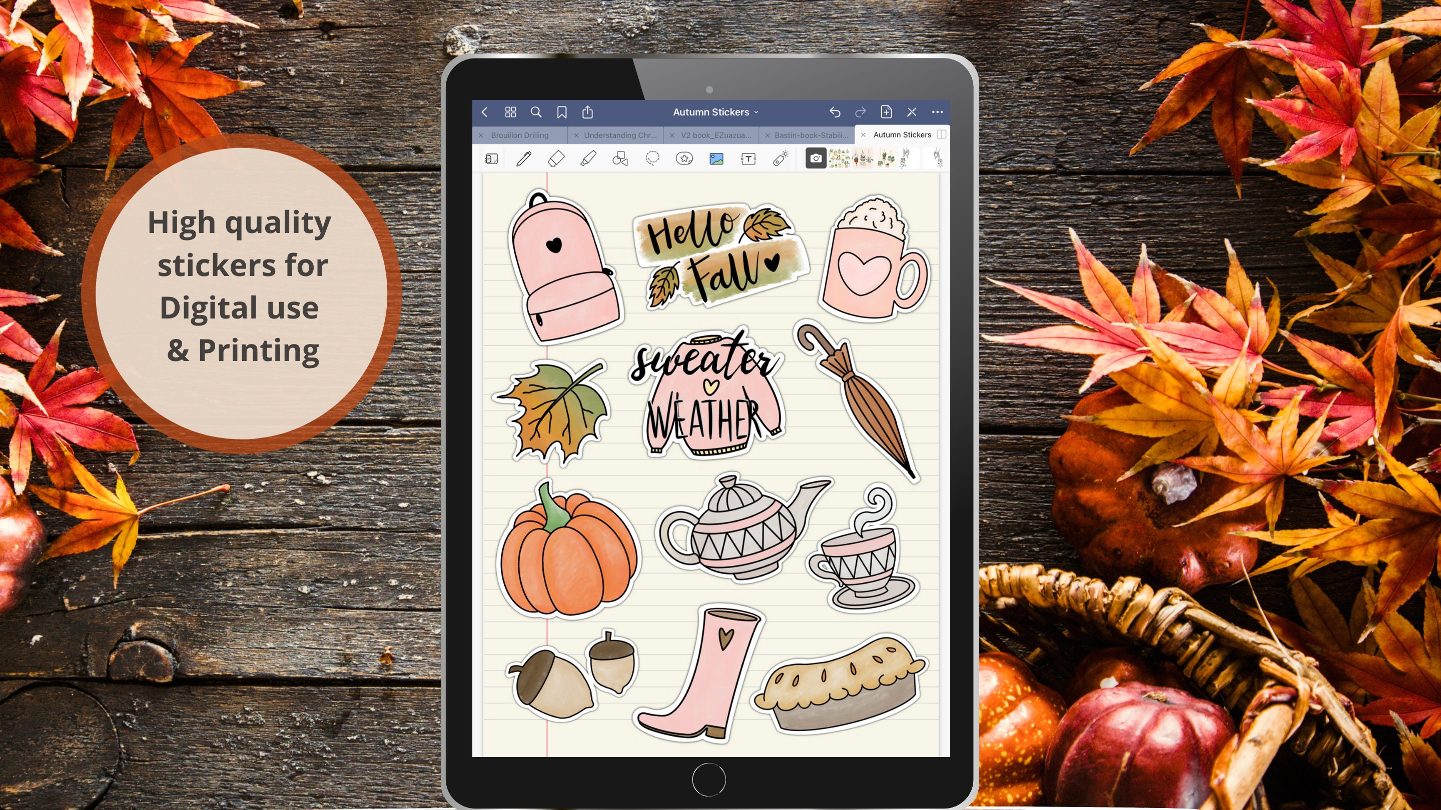 AUTUMN Digital STICKERS for Planning, Pre-cropped Goodnotes and PNG ...