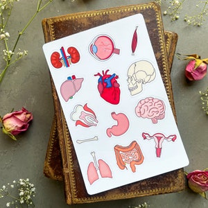 Anatomy Printed STICKERS Set, Medicine, Med School Stickers, Bullet ...