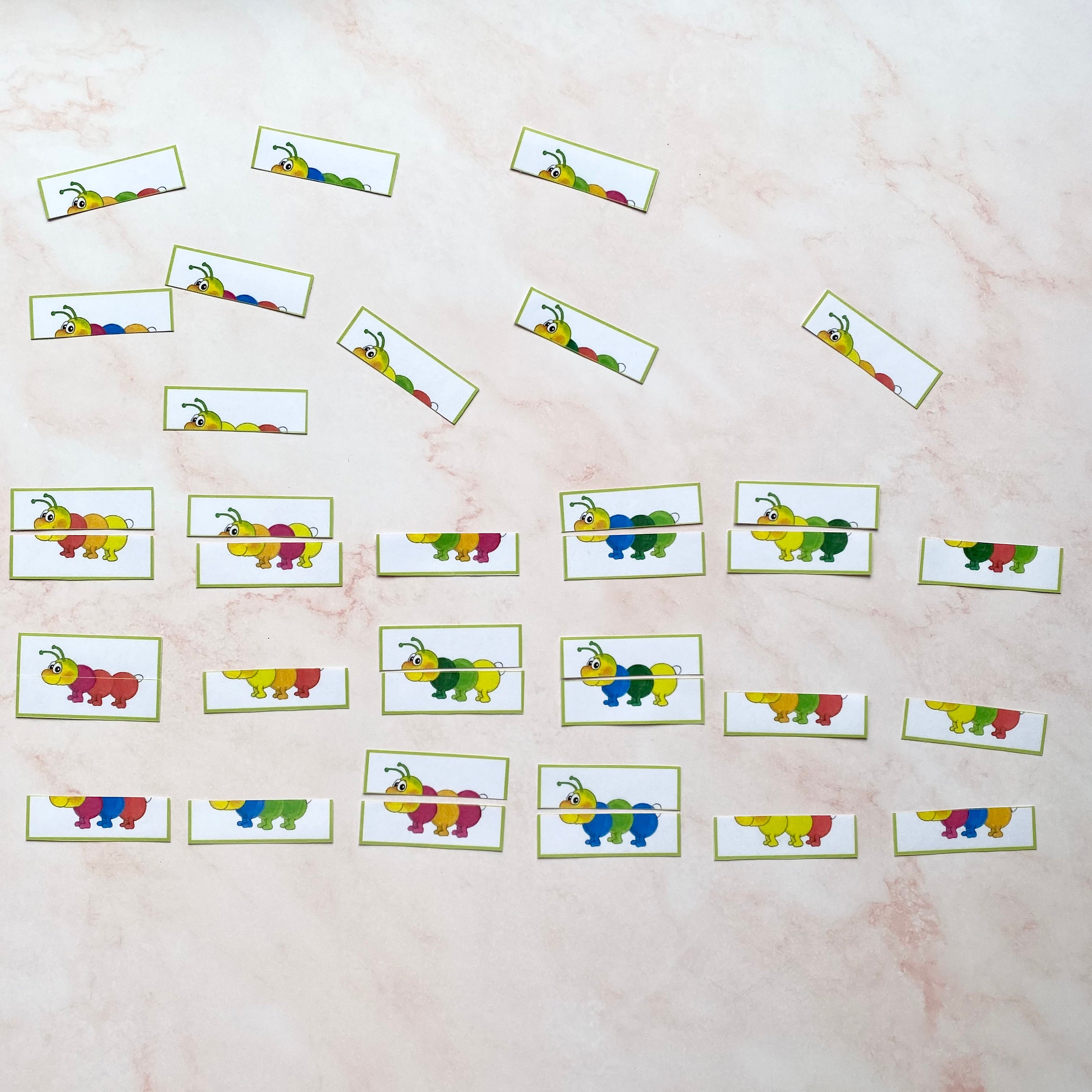 PDF Caterpillar Sorting Game - Etsy