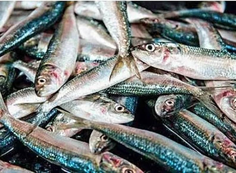 Sundried Fresh Sardinella Fish ( Keeramin Fish ) .. ( 75g -330g ) Free ...