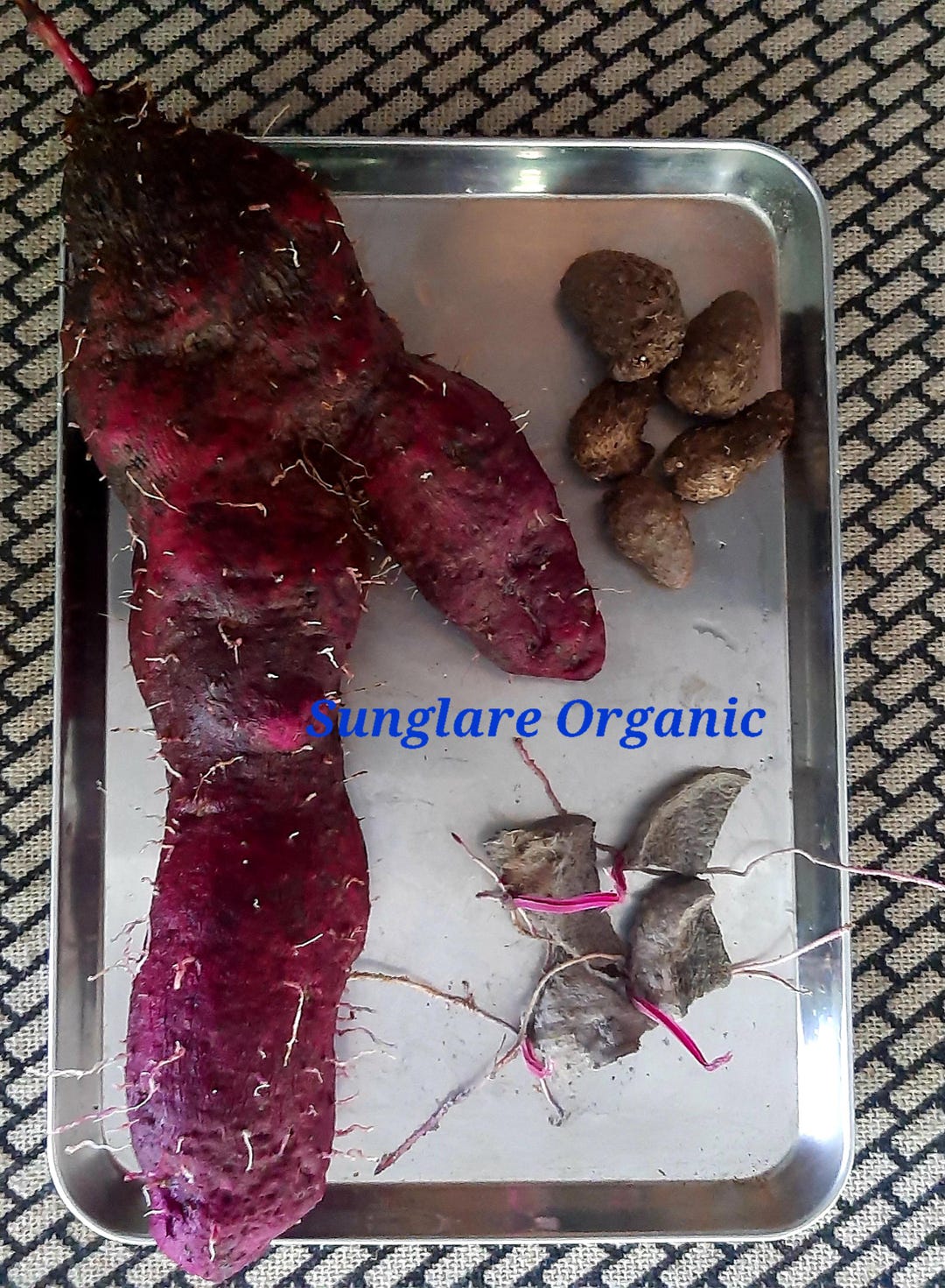 Organic Purple Yam / Dioscorea Alata /ube or Greater Yam , Rooted Yam ...