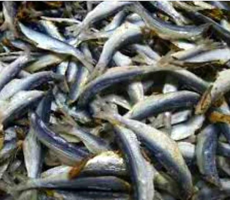 Sundried Fresh Sardinella Fish ( Keeramin Fish ) .. ( 75g -330g ) Free ...