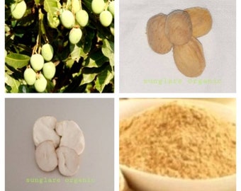 Bush Mango Seeds - Etsy