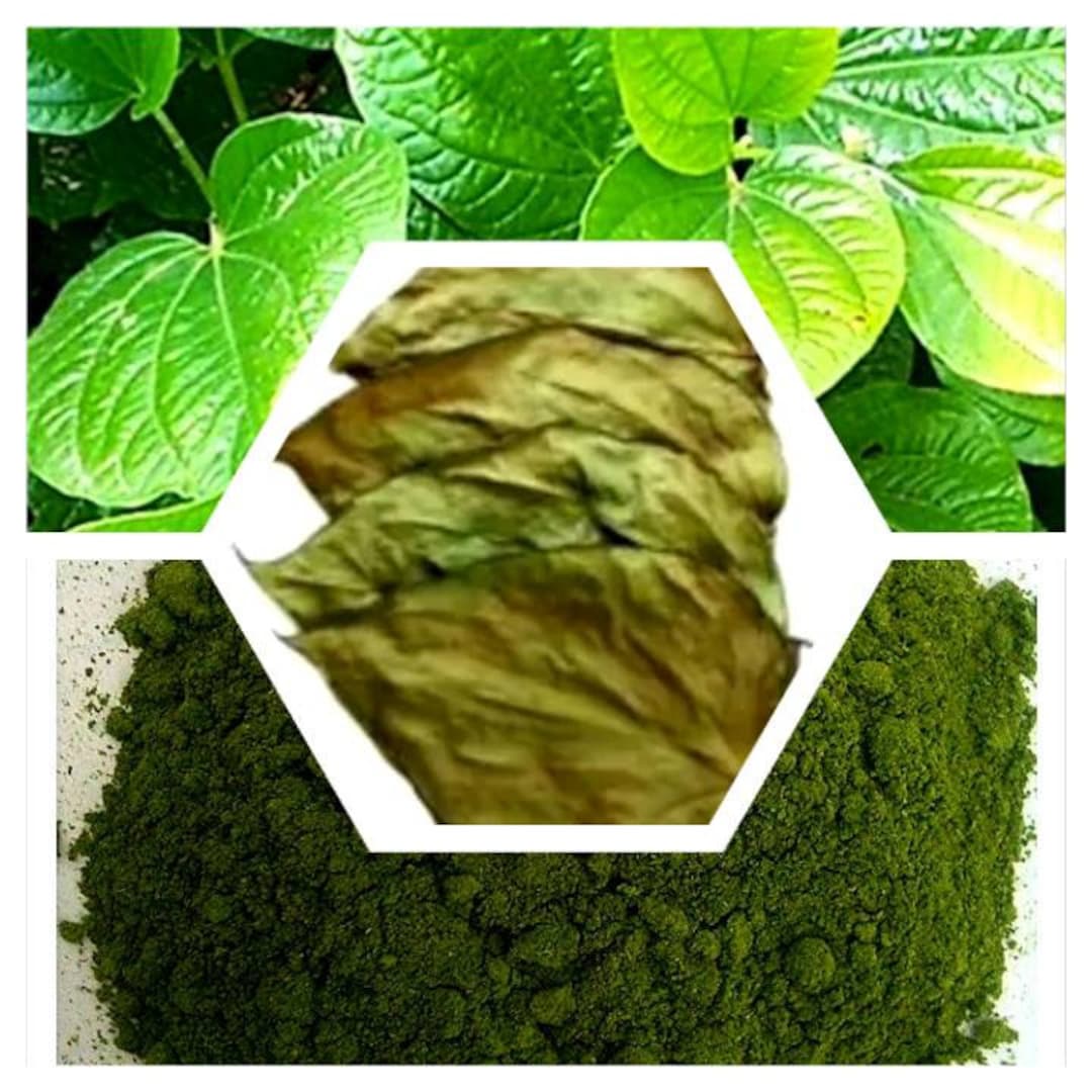 Organic Betel Leaves & Powder ,herbal Leaf for Health Paan Leaves ( 65 ...