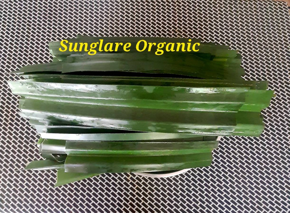 Organic Ceylon Pandan Leaves and Leaves Powder, Amaryllifolivs ...