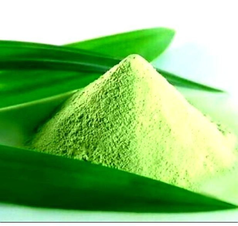 Organic Ceylon Pandan Leaves and Leaves Powder, Amaryllifolivs ...