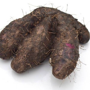 Organic Purple Yam / Dioscorea Alata /ube or Greater Yam , Rooted Yam ...