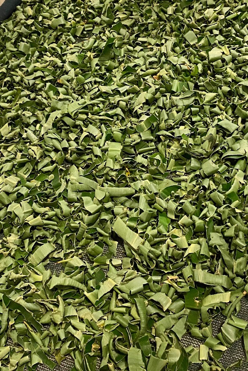 Ceylon Sun Dried Insulin Plant Leaves Powder Healthy Thebu Leaves Powder Costus Igneusfree