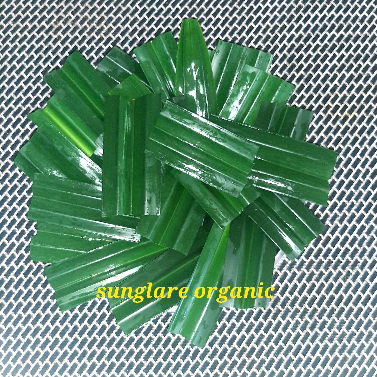 Organic Ceylon Pandan Leaves and Leaves Powder, Amaryllifolivs ...