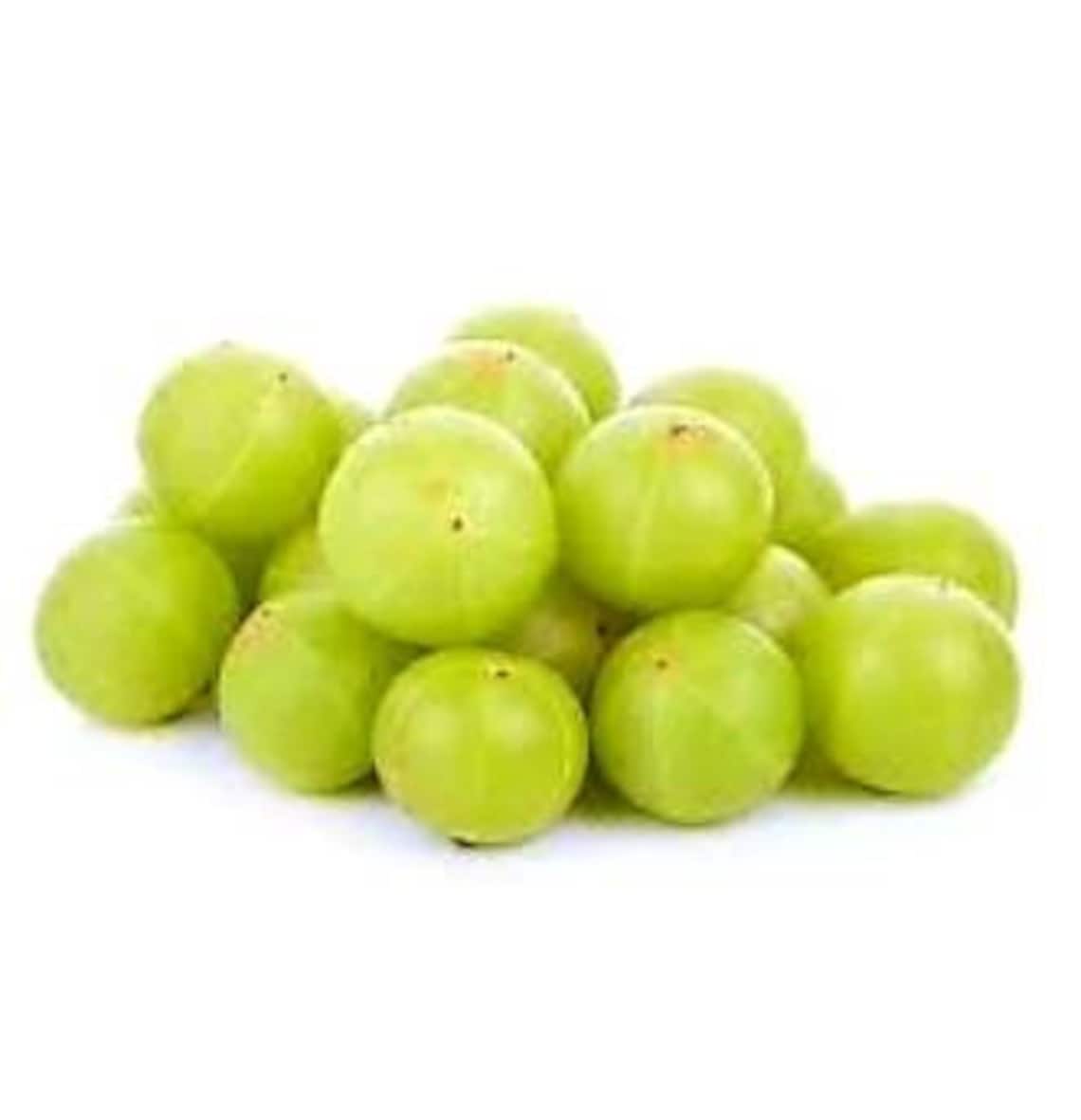 Oarganic Phyllanthus Emblica,amla ,nelli , Seeds for Planting ,free ...