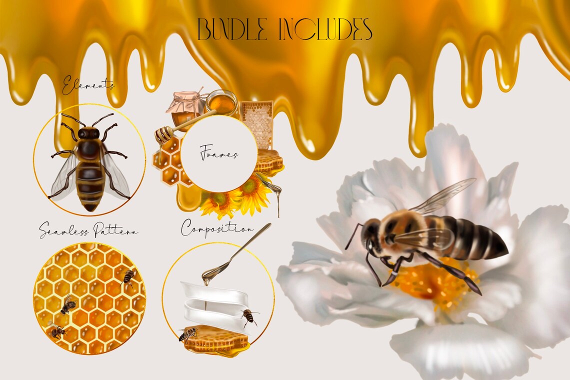 Honey Bee Bundle Watercolor Clipart PNG Honey Pot Honey Jar Summer Farm ...