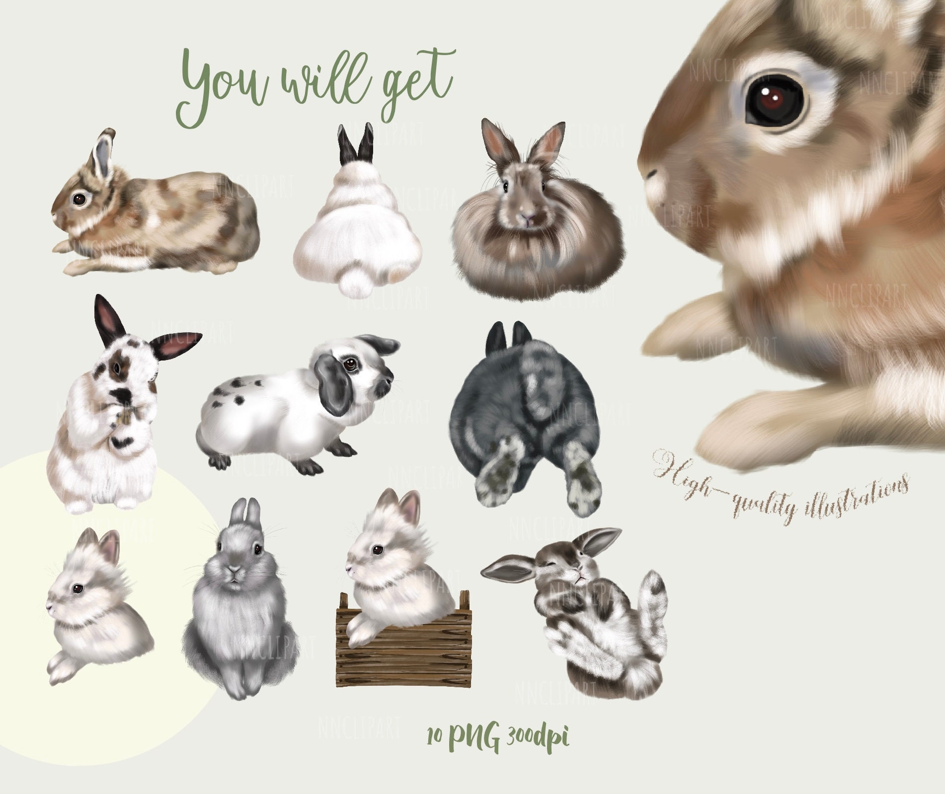 Watercolor Rabbit Clipart Bunny Download Rabbits Cute Animals ...