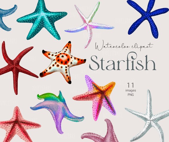 Starfish Clipart Sea Star Watercolor Nautical Illustration - Etsy