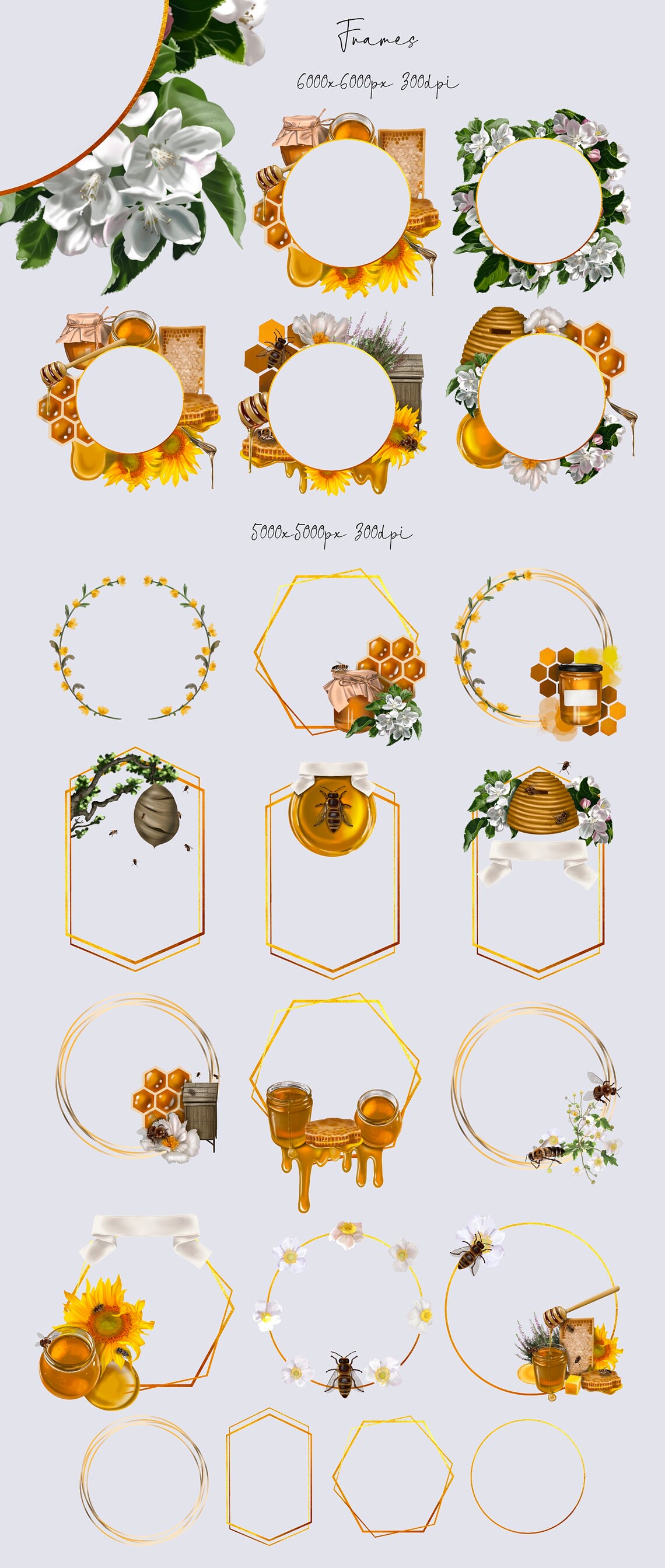 Honey Bee Bundle Watercolor Clipart PNG Honey Pot Honey Jar Summer Farm ...