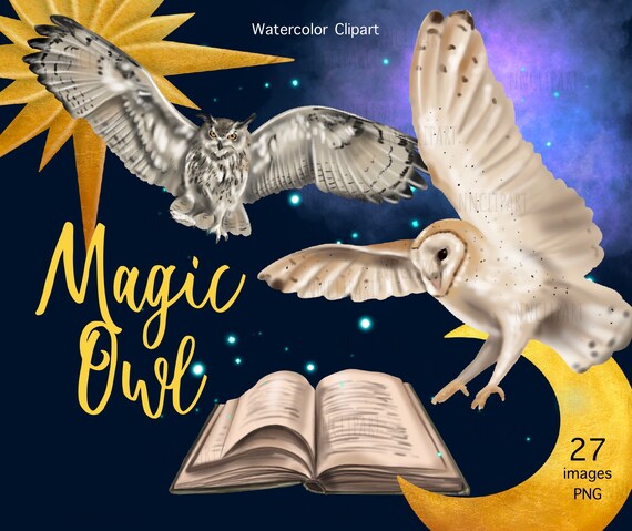 Watercolor Magic Clipart Realistic Owl Witch and Wizard - Etsy