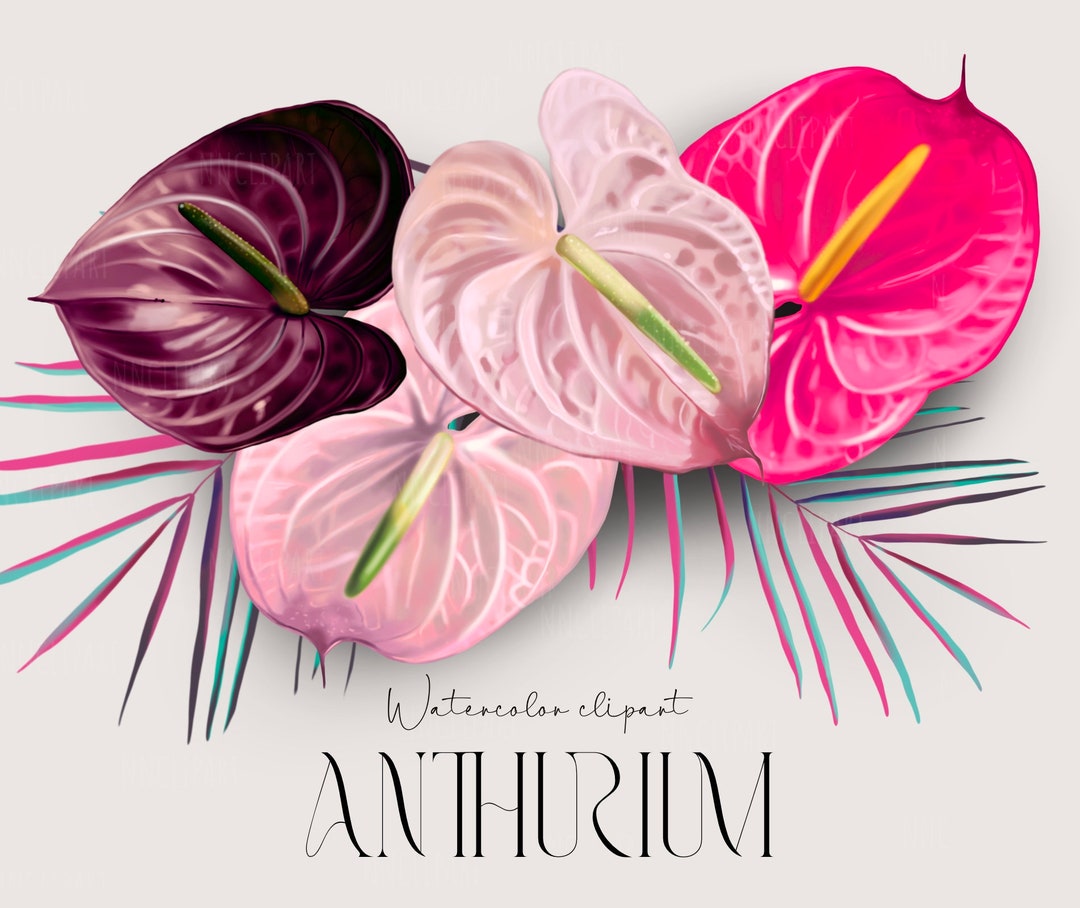 Wedding Flower Anthurium Clipart Realistic PNG Digital Paper. - Etsy