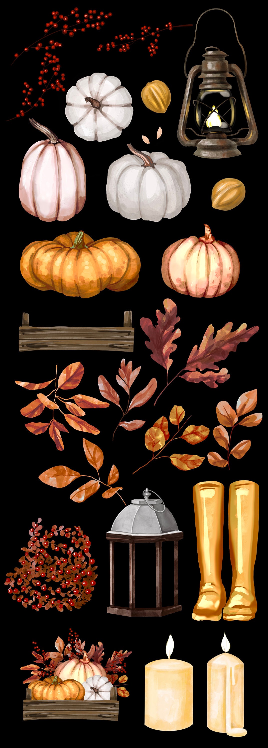 Halloween Clipart Set Autumn Pumpkins Orange and White Fall Clipart ...