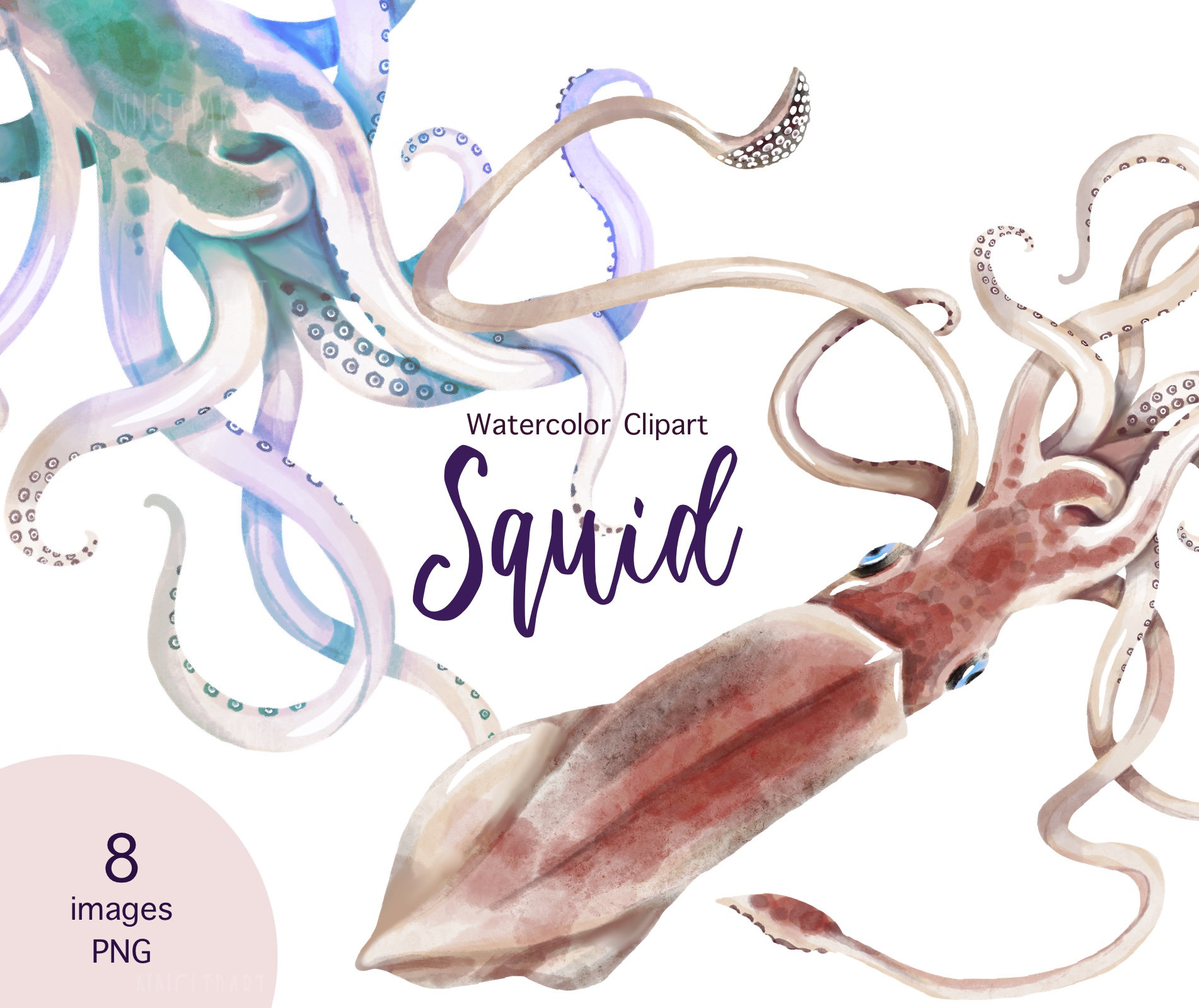 Watercolor Realistic Squid Sea Creatures Clipart Marine Life Nautical ...