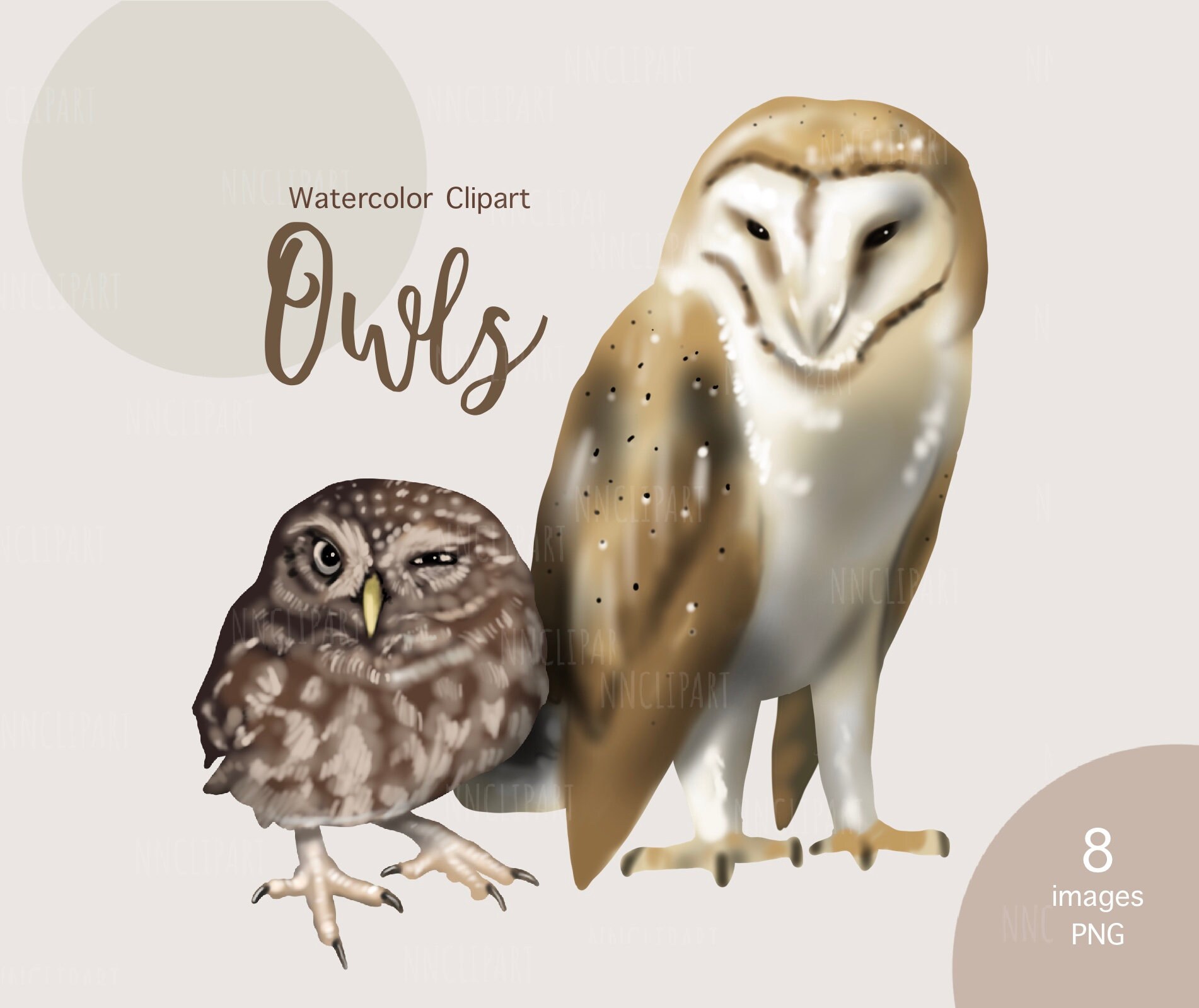 Watercolor Barn Owl Clipart Owls Woodland Forest Animals - Etsy