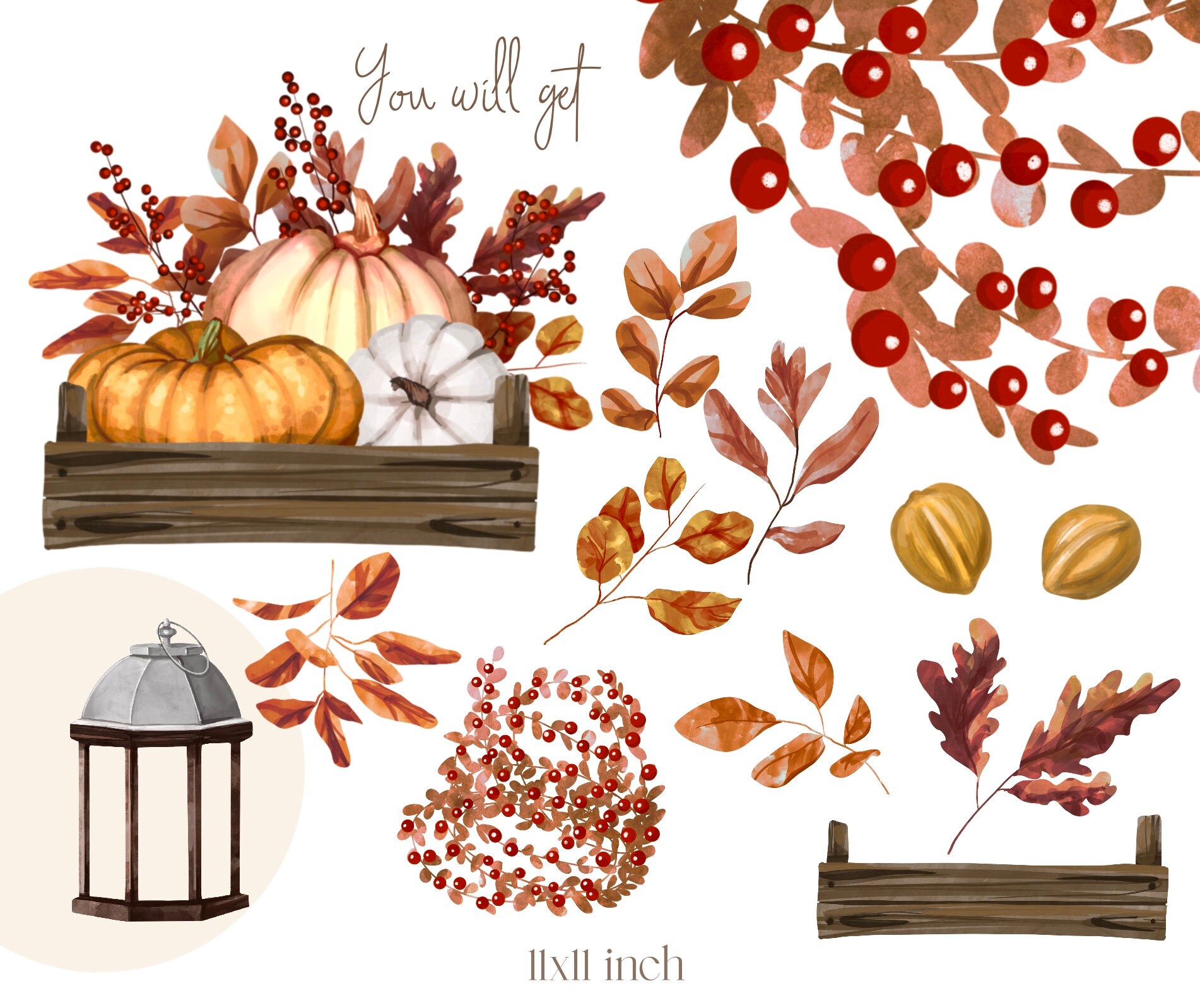 Halloween Clipart Set Autumn Pumpkins Orange and White Fall Clipart ...