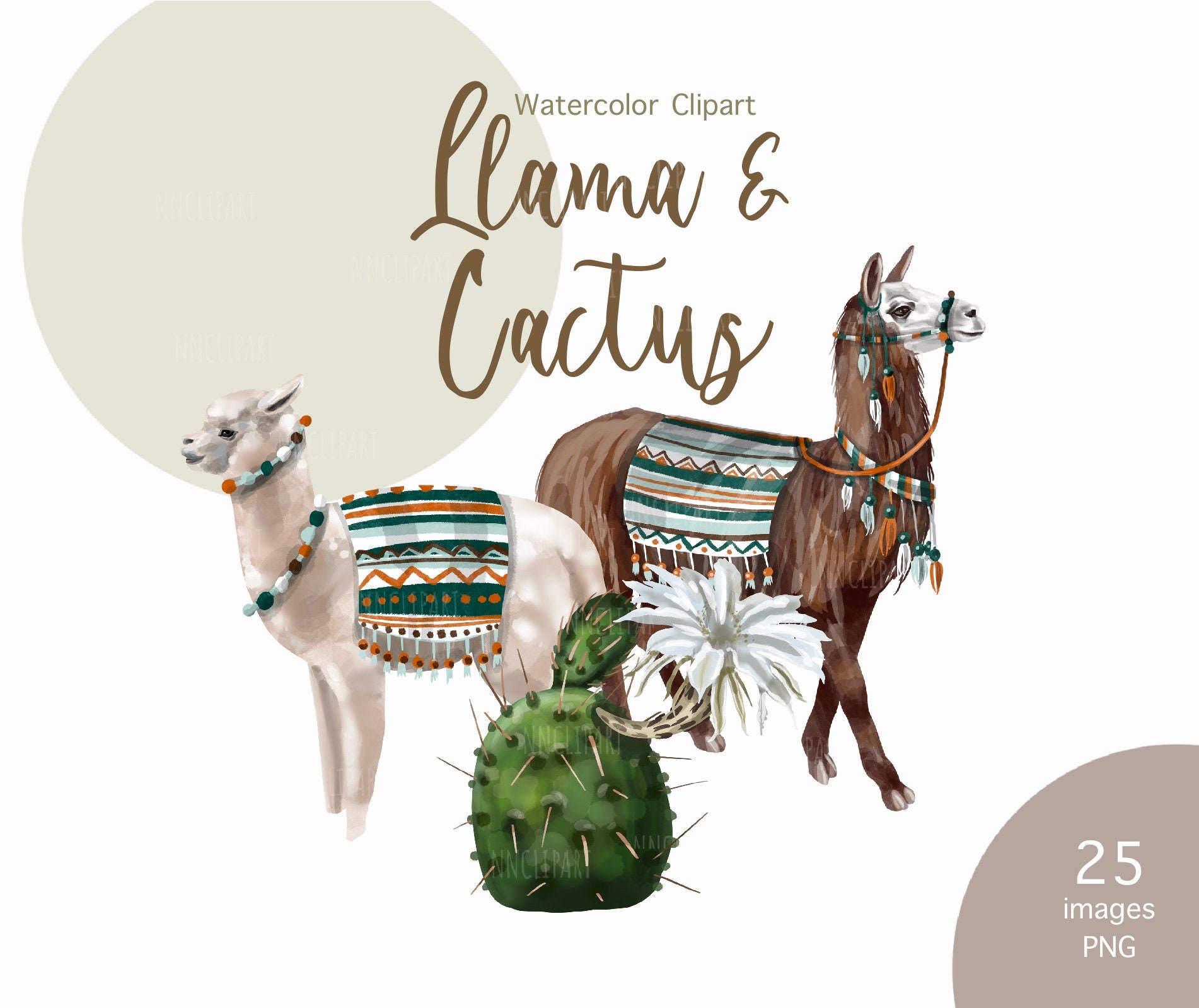 Cactus Clipart Fiesta Llama PNG Cacti Digital Download, 58% OFF