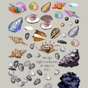 Watercolor Underwater Animals Clipart Nautical PNG Instant Download Sea ...