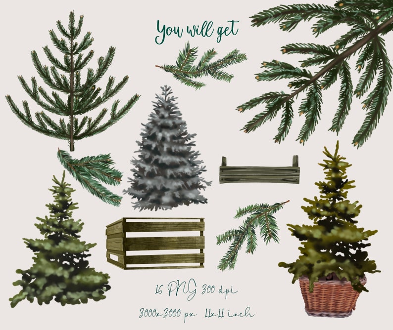 Watercolor Christmas Tree Clipart Pine Tree PNG Winter Forest Clipart ...