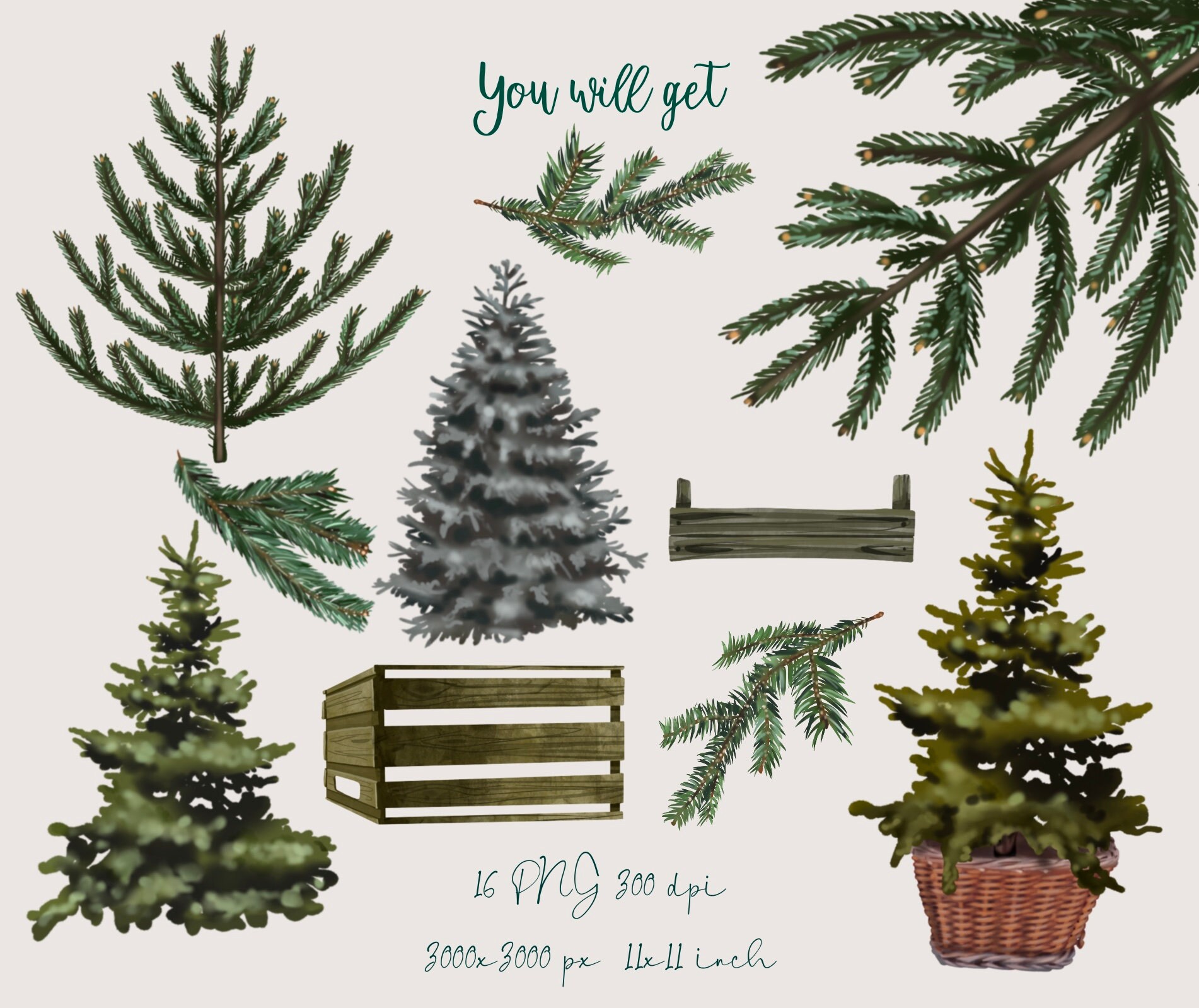 Watercolor Christmas Tree Clipart Pine Tree PNG Winter Forest Clipart ...