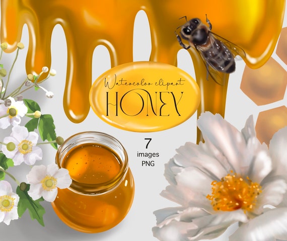 Honey Bee Watercolor Clipart PNG Honey Pot Honey Jar Summer - Etsy