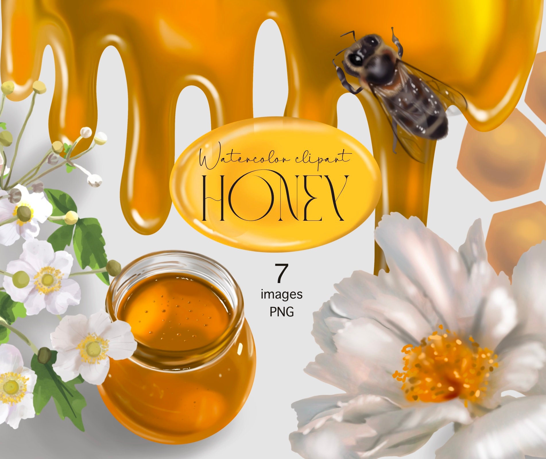 Honey Bee Watercolor Clipart PNG Honey Pot Honey Jar Summer Farm ...