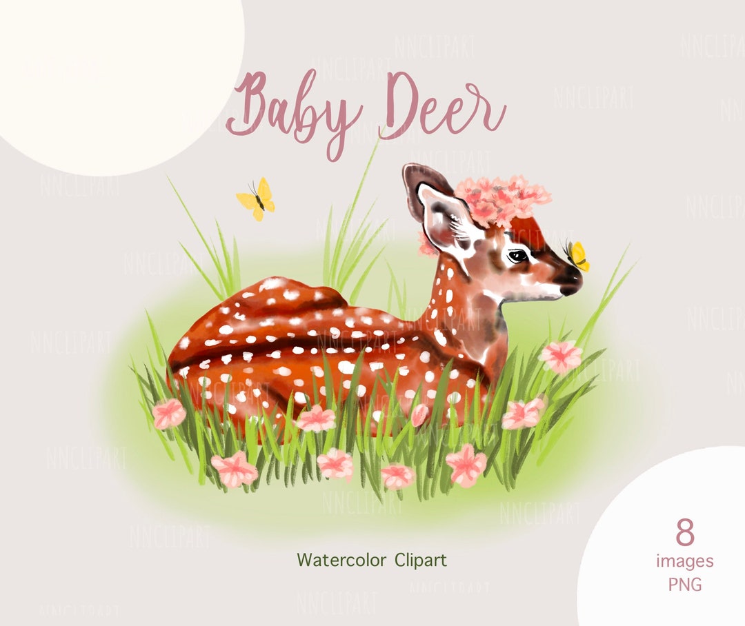 Deer Clipart Watercolor Deer Image Baby Deer Woodland Animals Digital ...