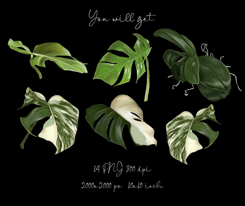Tropical Clipart Watercolor Palm Leaves Hand Painted Clip Art Monstera ...