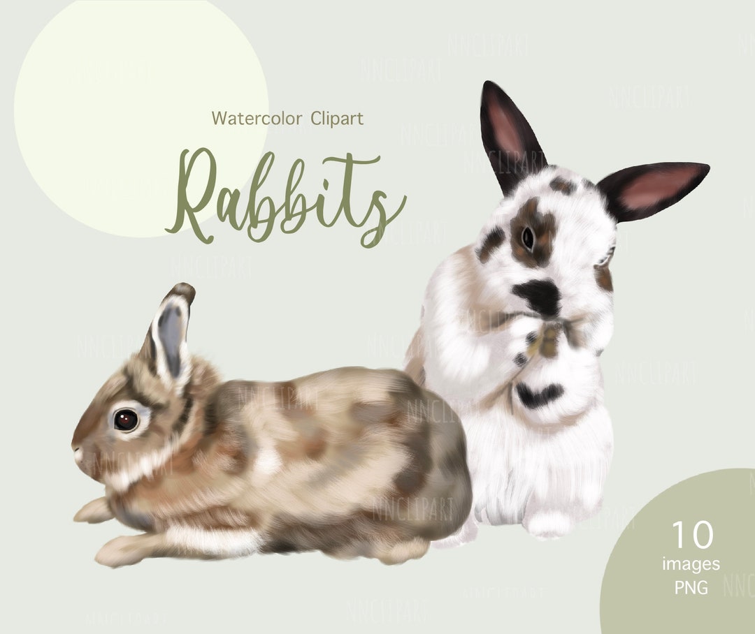Watercolor Rabbit Clipart Bunny Download Rabbits Cute Animals ...