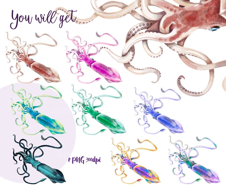 Watercolor Realistic Squid Sea Creatures Clipart Marine Life Nautical ...