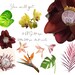 Tropical Flowers Watercolor Flower Clipart Digital Realistic Plants ...