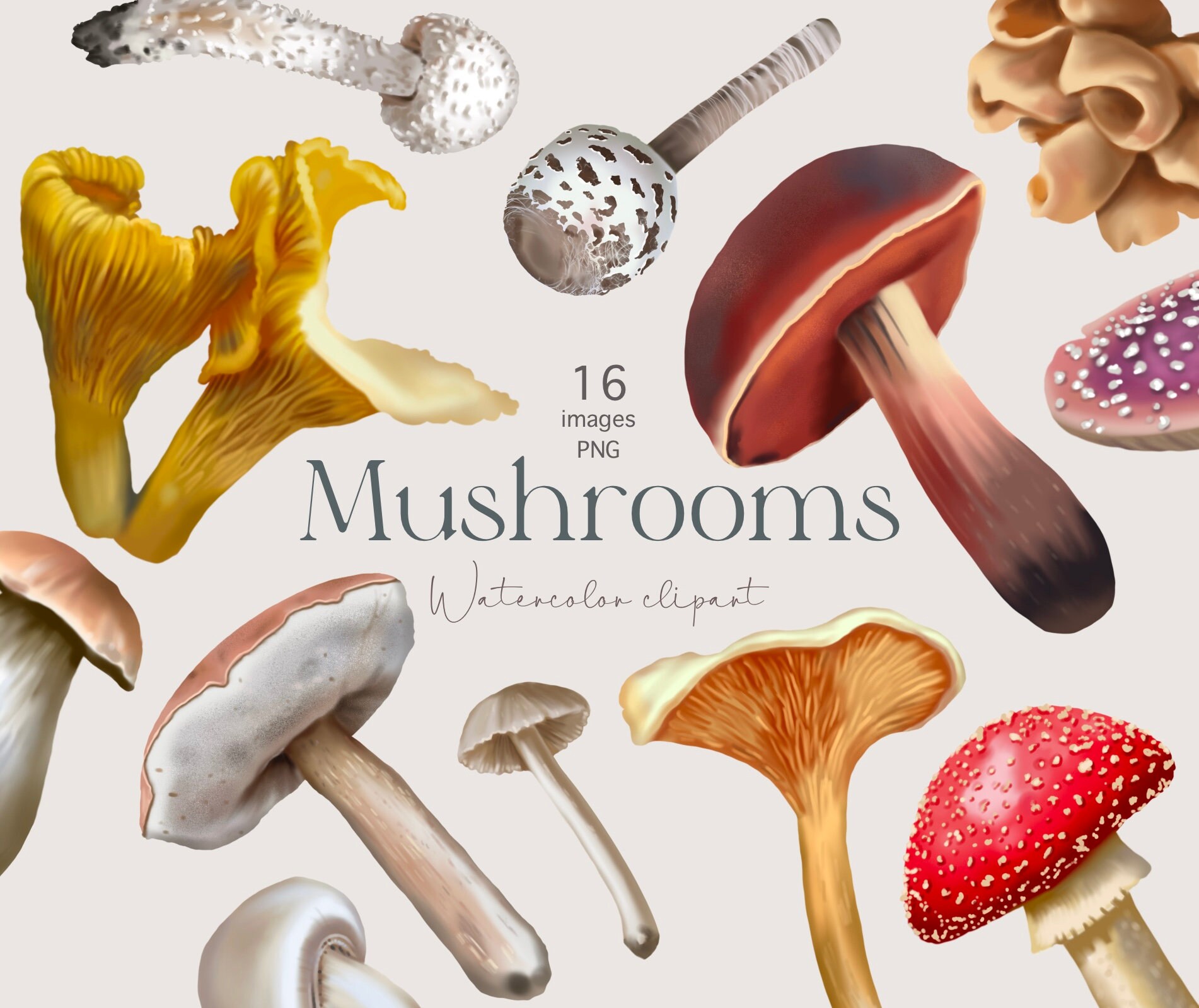 Watercolor Mushrooms Clipart Autumn Clipart Mushroom - Etsy