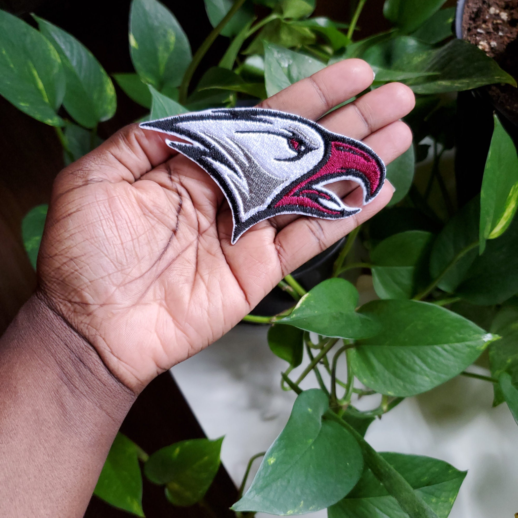 NCCU HBCU Patches - Etsy