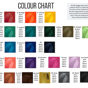 Triple Colour Spike Dog Collar | Vegan | Bespoke - Etsy