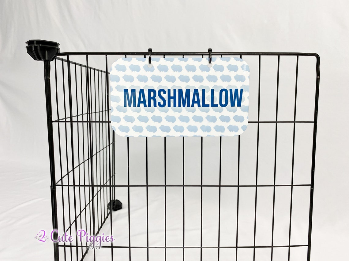 Guinea Pig Name Tag Guinea Pig Accessories Pet Tag Guinea - Etsy